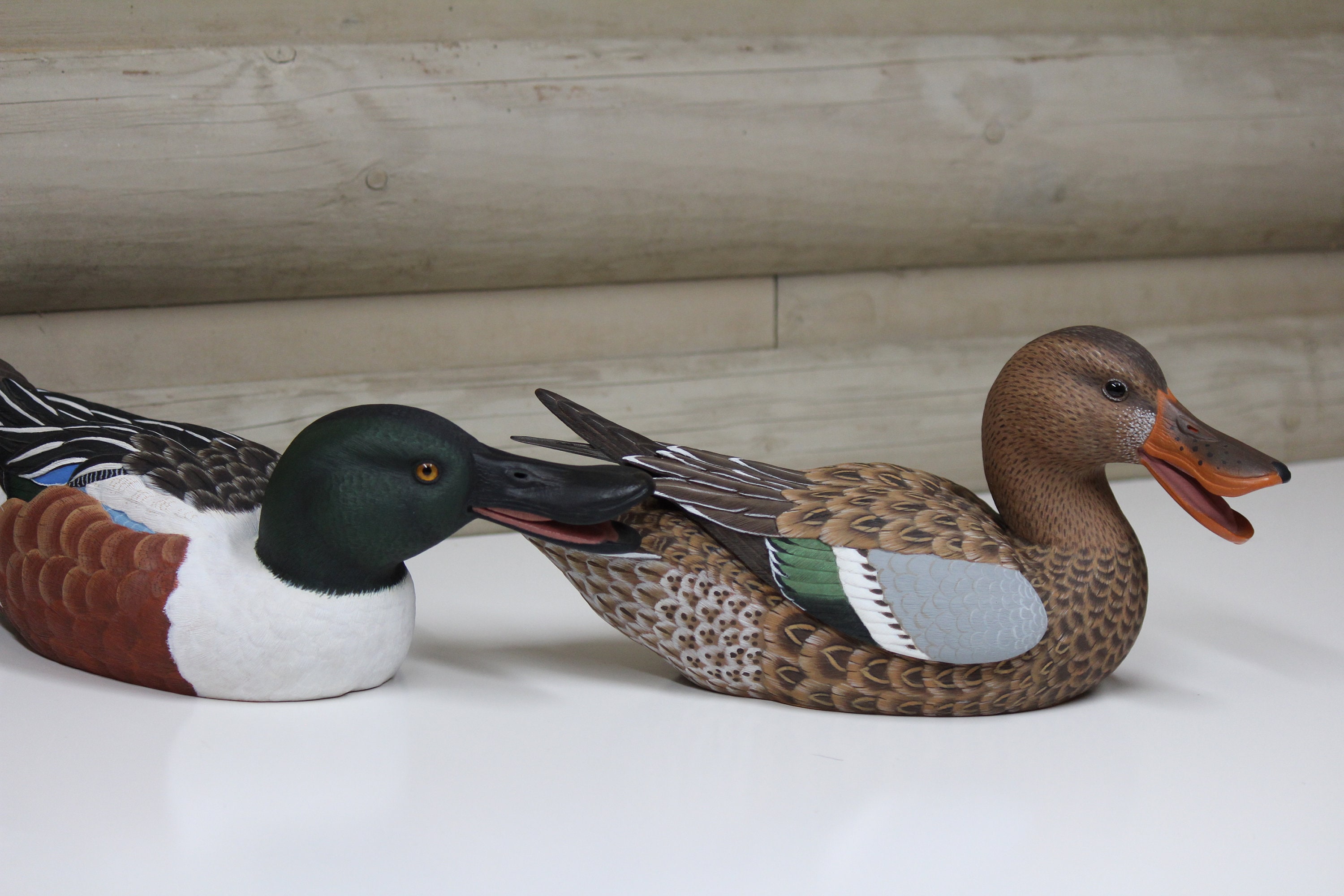 SOLD OUT Northern Shoveler spoonbill Pair - Etsy