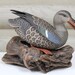 SOLD OUT Spoonbill Hen - Etsy
