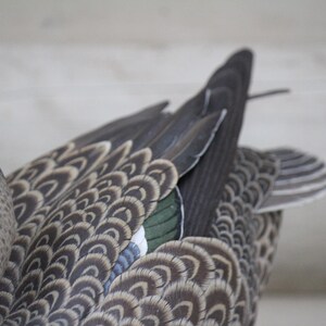 SOLD OUT Spoonbill Hen - Etsy