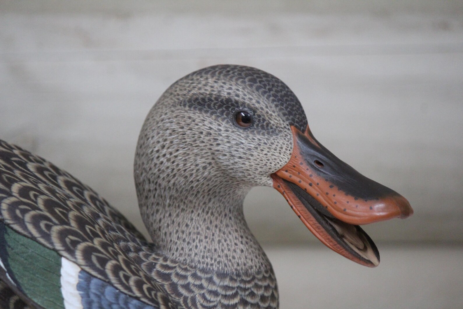 SOLD OUT Spoonbill Hen - Etsy