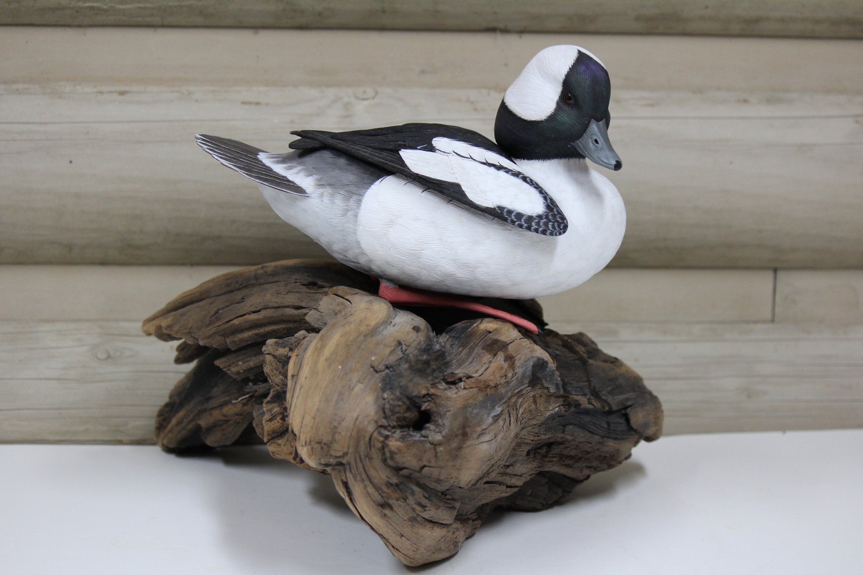 Bufflehead Duck Decoys