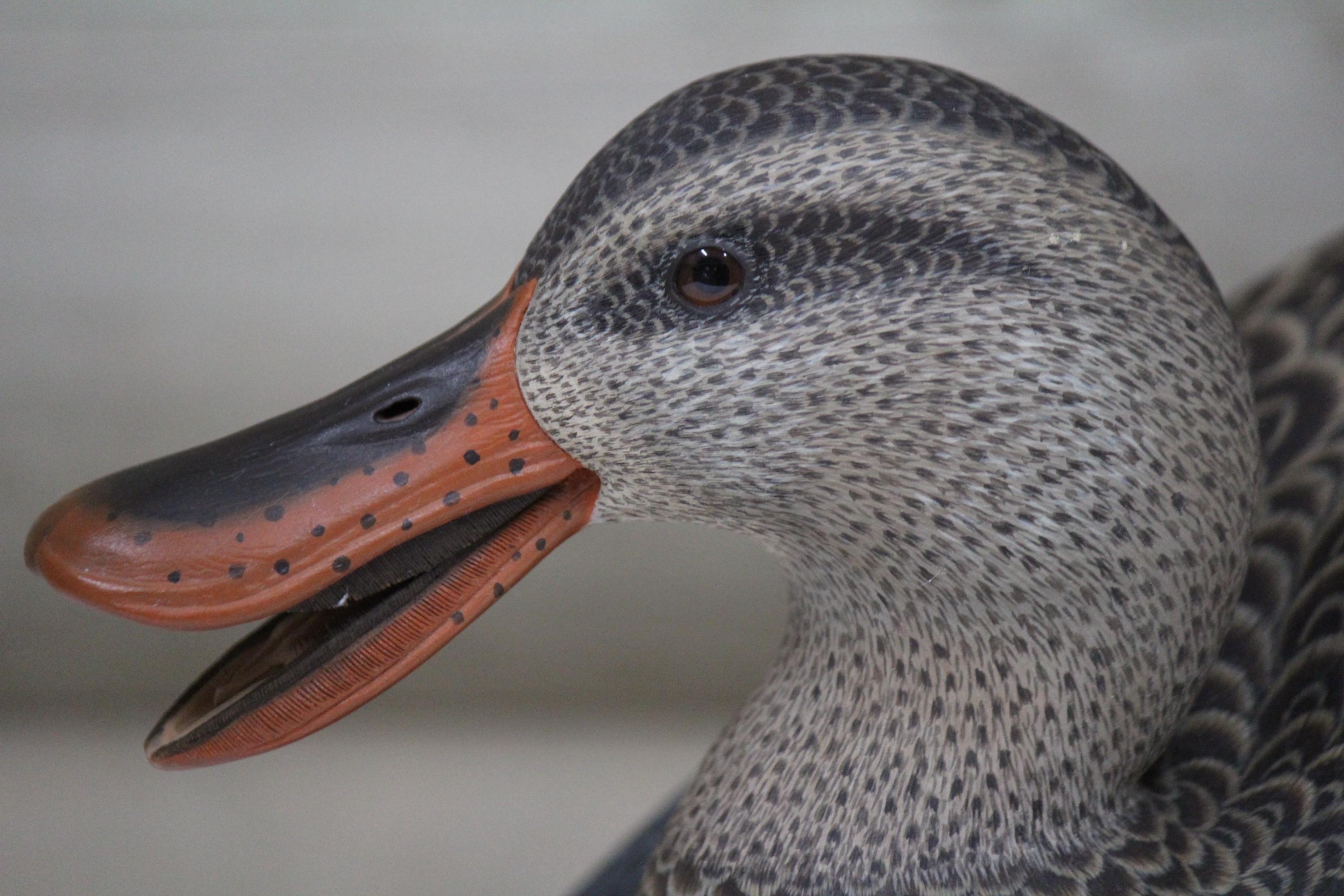 SOLD OUT Spoonbill Hen - Etsy