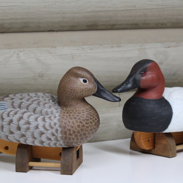 Canvasback Duck - Etsy
