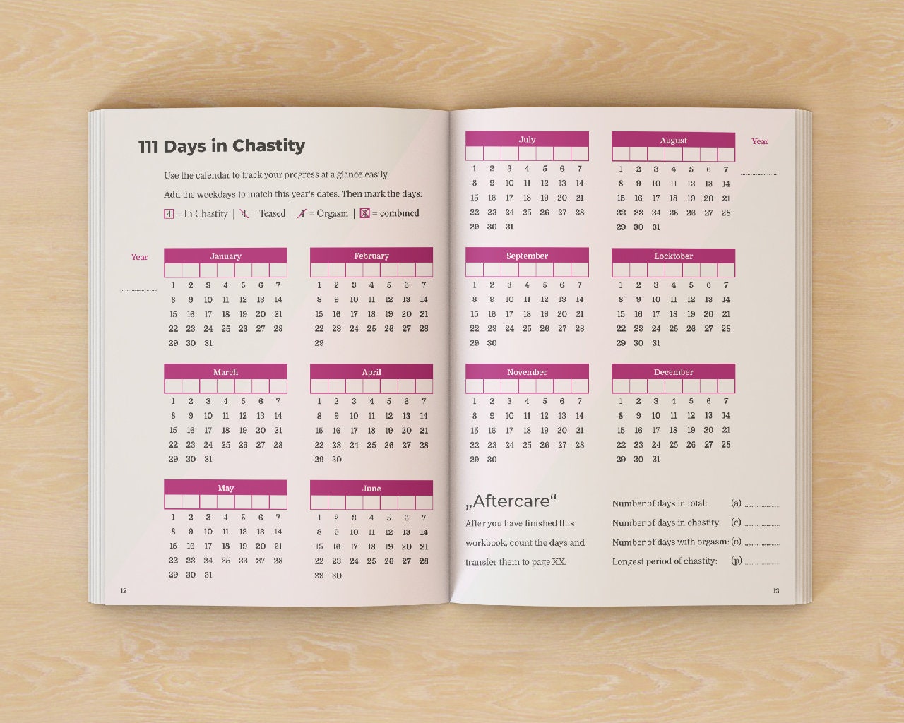 LOCKED Chastity Journal A5 Printed Diary Track Your Progress Reflect ...