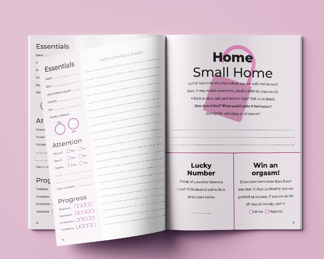 LOCKED – Chastity Journal | Track Your Progress | Reflect Your Self ...