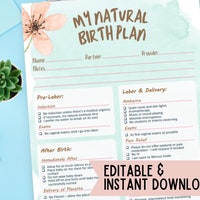 Visual Birth Plan/ Natural Birth Plan/ Birth Preference/ Birth Plan ...