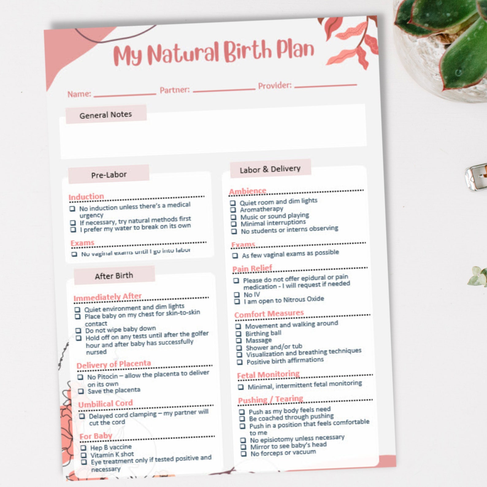 Natural Birth Plan/ Birth Preference/ Birth Plan Template/ Editable ...