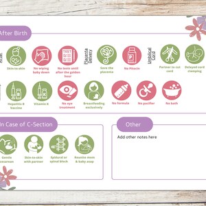 Visual Birth Plan/ Natural Birth Plan/ Birth Preference/ Birth Plan ...