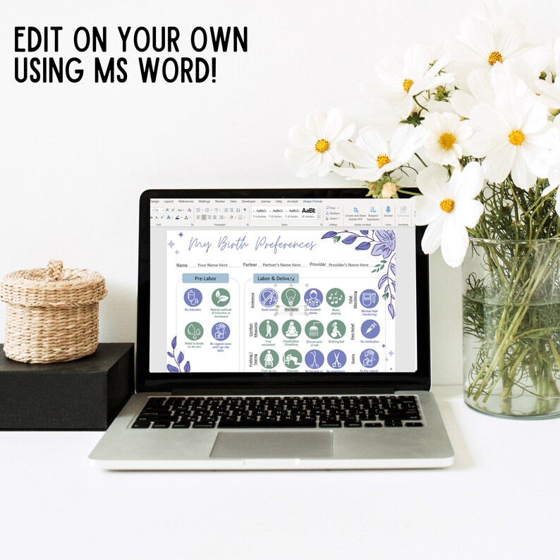 Visual Birth Plan/ Natural Birth Plan/ Birth Preference/ Birth Plan ...