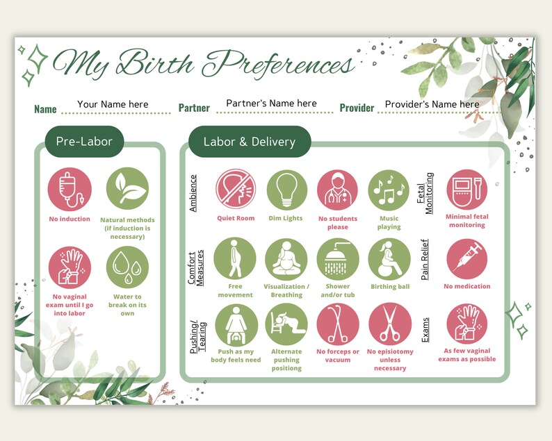 Visual Birth Plan/ Natural Birth Plan/ Birth Preference/ Birth Plan ...