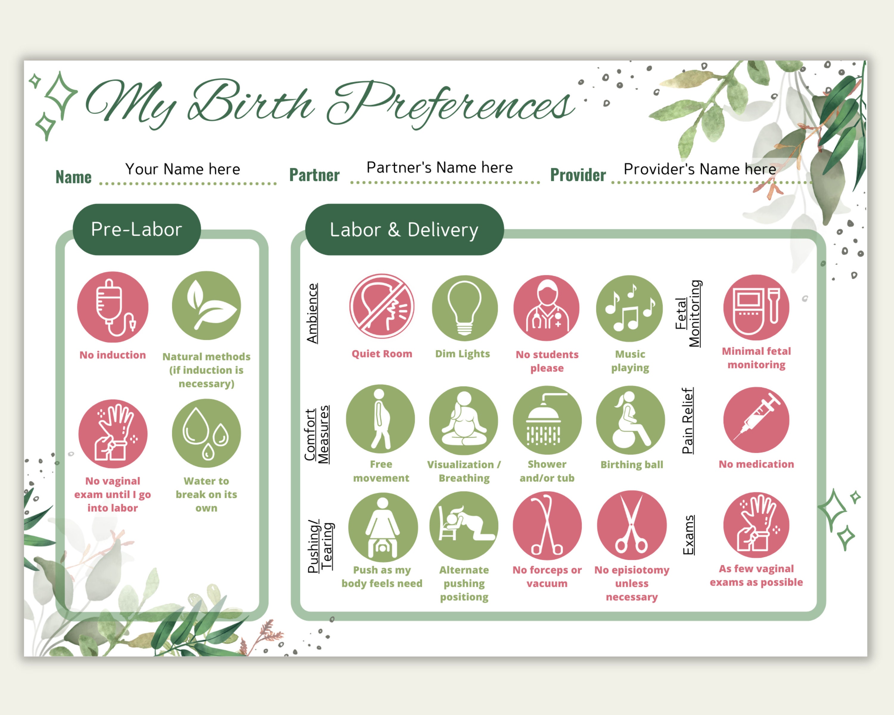Visual Birth Plan/ Natural Birth Plan/ Birth Preference/ Birth Plan ...