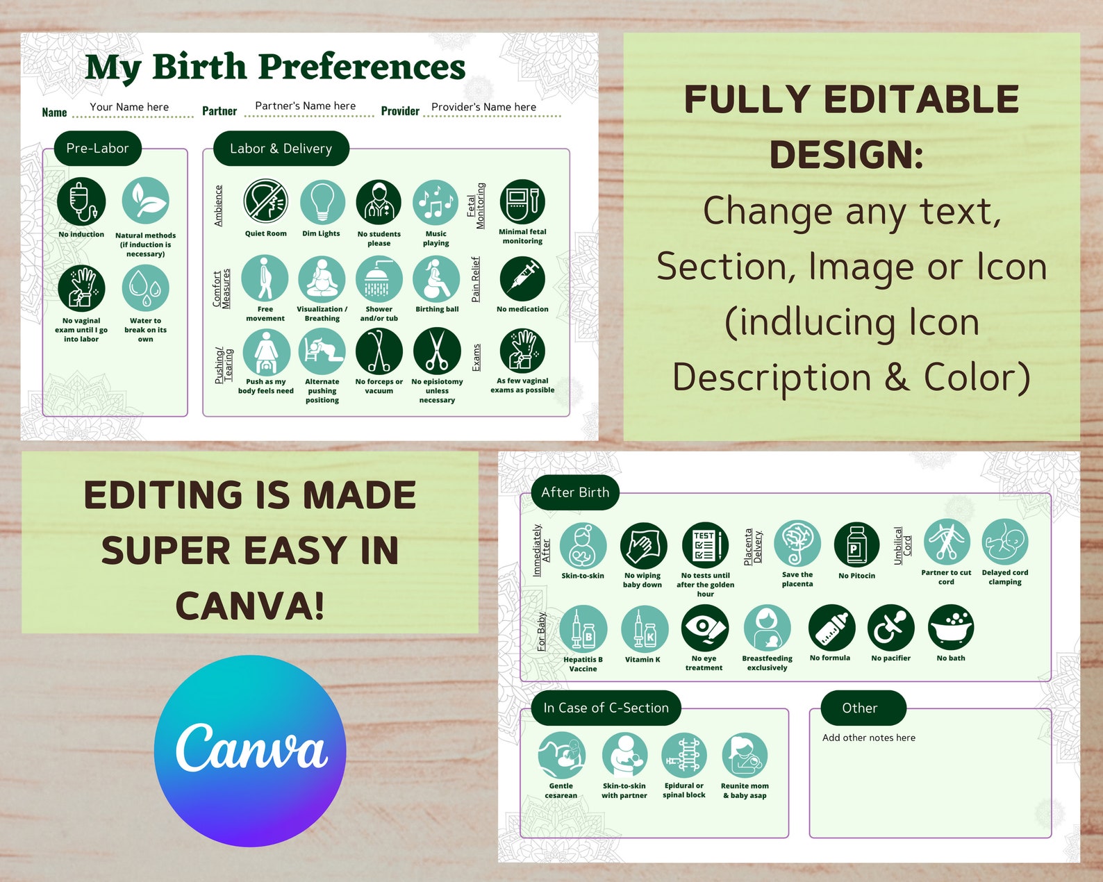 Visual Birth Plan/ Natural Birth Plan/ Birth Preference/ Birth Plan ...