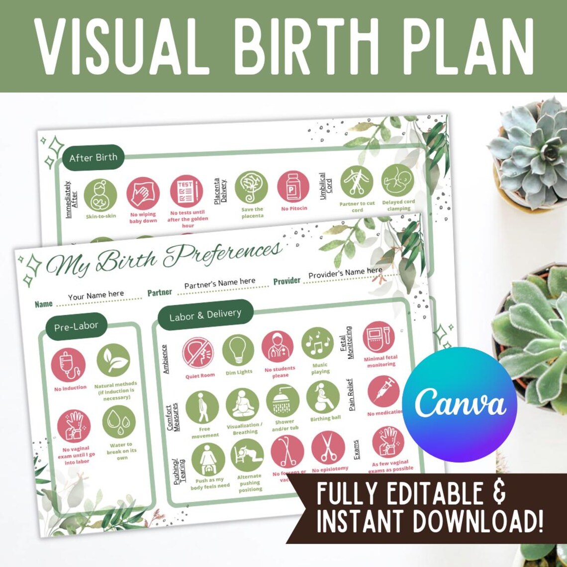 Visual Birth Plan/ Natural Birth Plan/ Birth Preference/ Birth Plan ...
