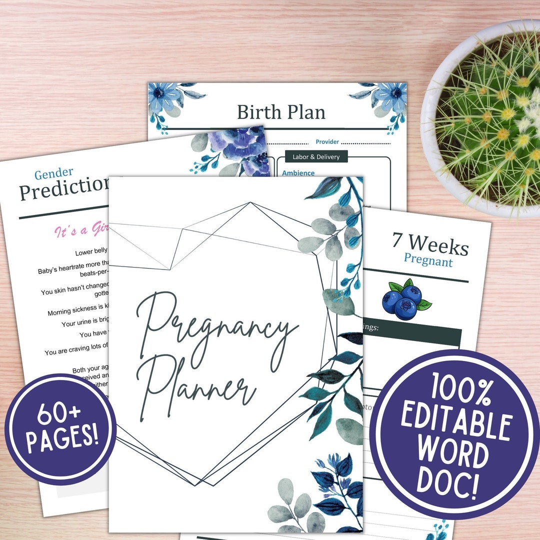 Pregnancy Planner Printable | Pregnancy Journal Printable | Pregnancy ...