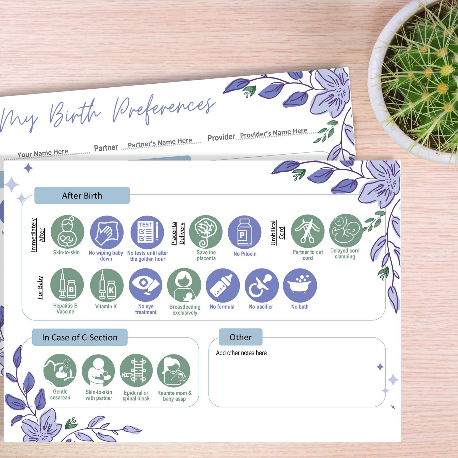 Visual Birth Plan/ Natural Birth Plan/ Birth Preference/ Birth Plan ...
