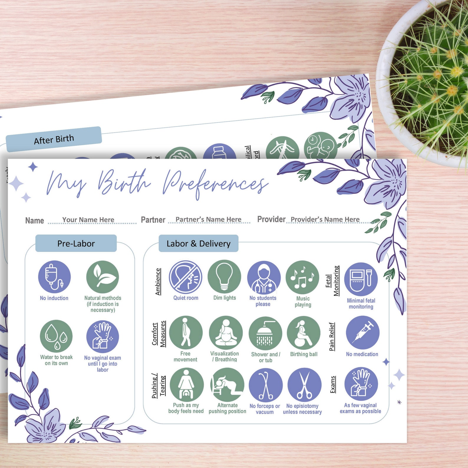 Visual Birth Plan/ Natural Birth Plan/ Birth Preference/ Birth Plan ...