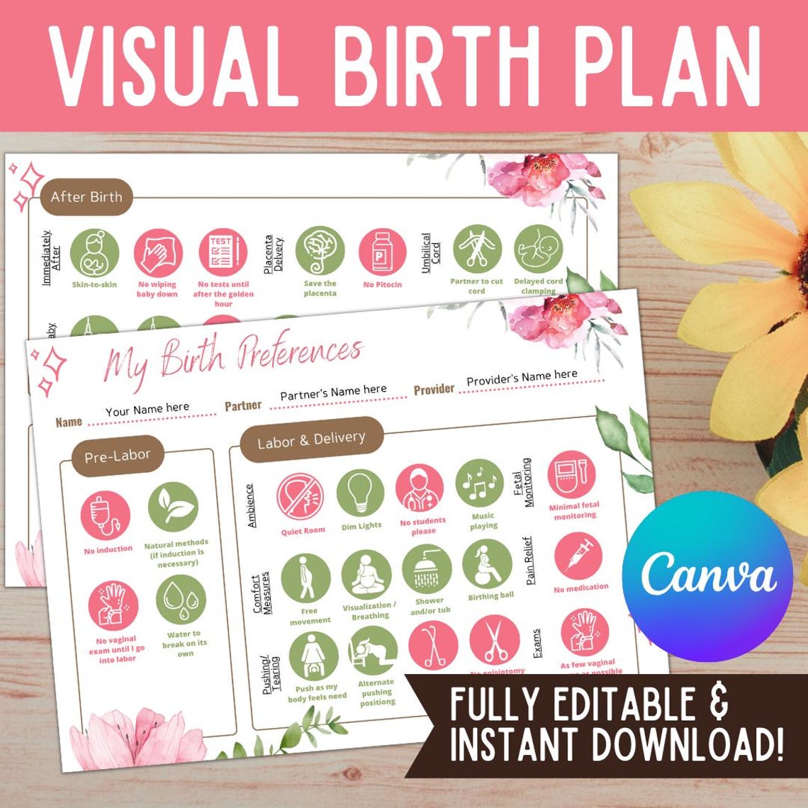 Visual Birth Plan/ Natural Birth Plan/ Birth Preference/ Birth Plan ...