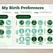 Visual Birth Plan/ Natural Birth Plan/ Birth Preference/ Birth Plan ...