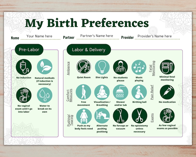 Visual Birth Plan/ Natural Birth Plan/ Birth Preference/ Birth Plan ...