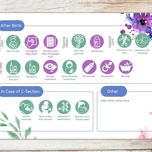 Visual Birth Plan/ Natural Birth Plan/ Birth Preference/ Birth Plan ...