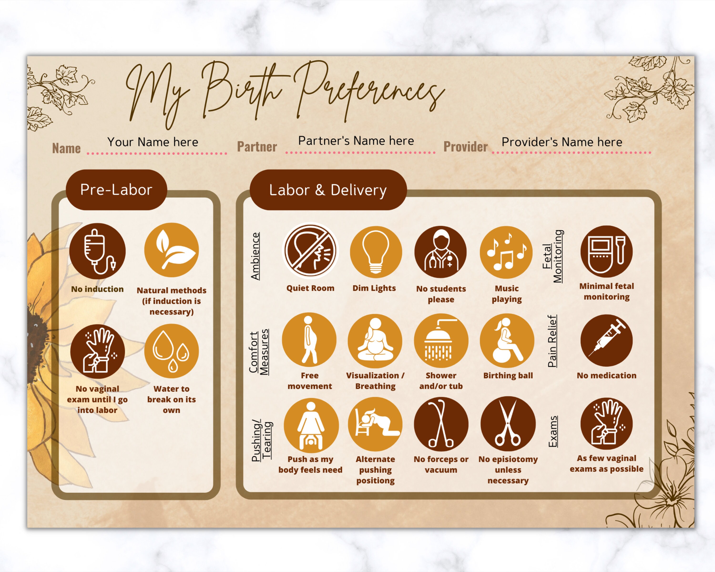 Visual Birth Plan/ Natural Birth Plan/ Birth Preference/ Birth - Etsy