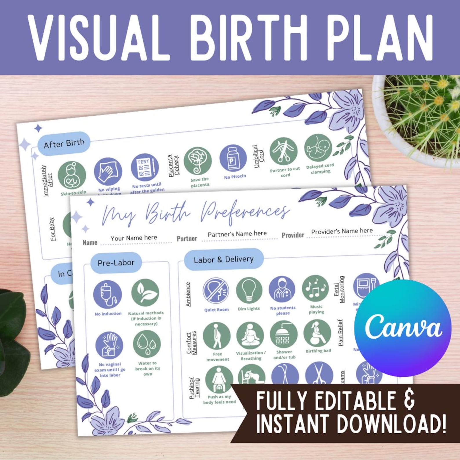 Visual Birth Plan/ Natural Birth Plan/ Birth Preference/ Birth Plan ...