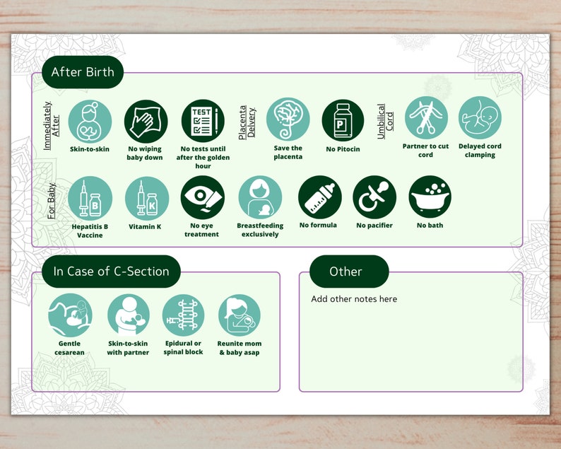 Visual Birth Plan/ Natural Birth Plan/ Birth Preference/ Birth Plan ...