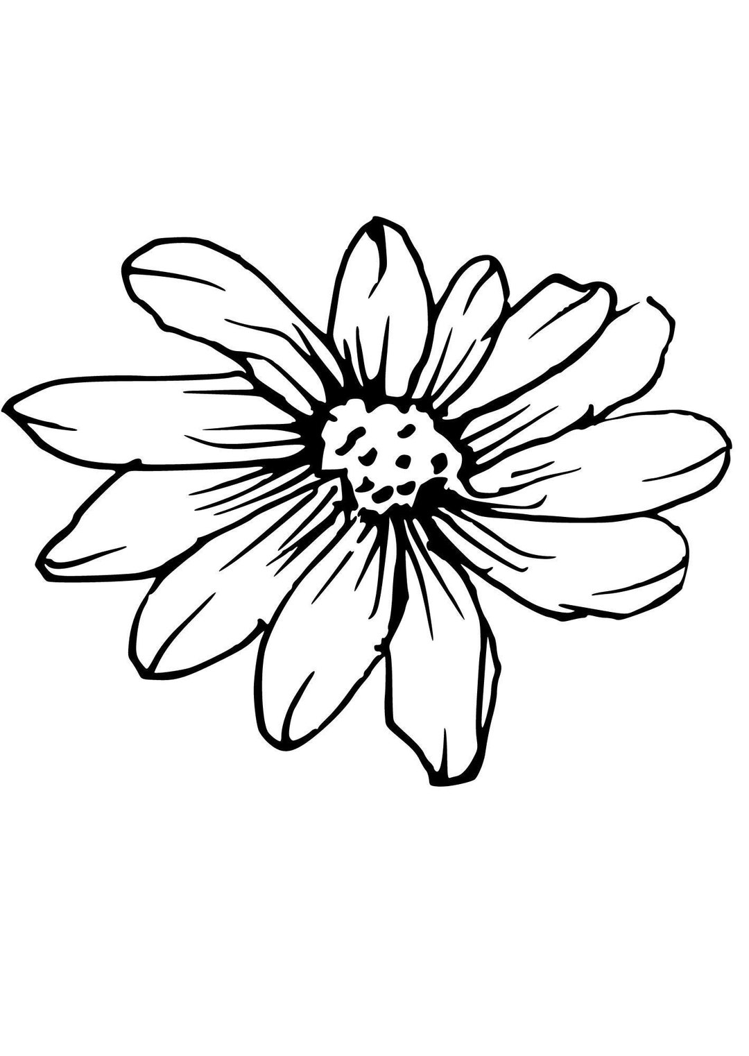 Monochrome Magic: Coloring Fun for Little Hands! - Etsy