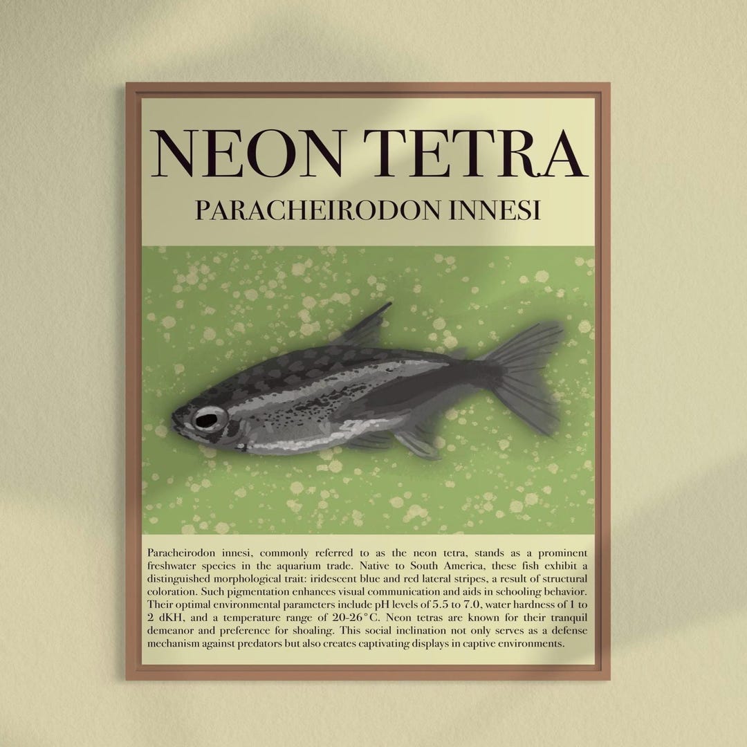 Neon Tetra Educational Digital Download | Whimsical Aquarium Decor ...
