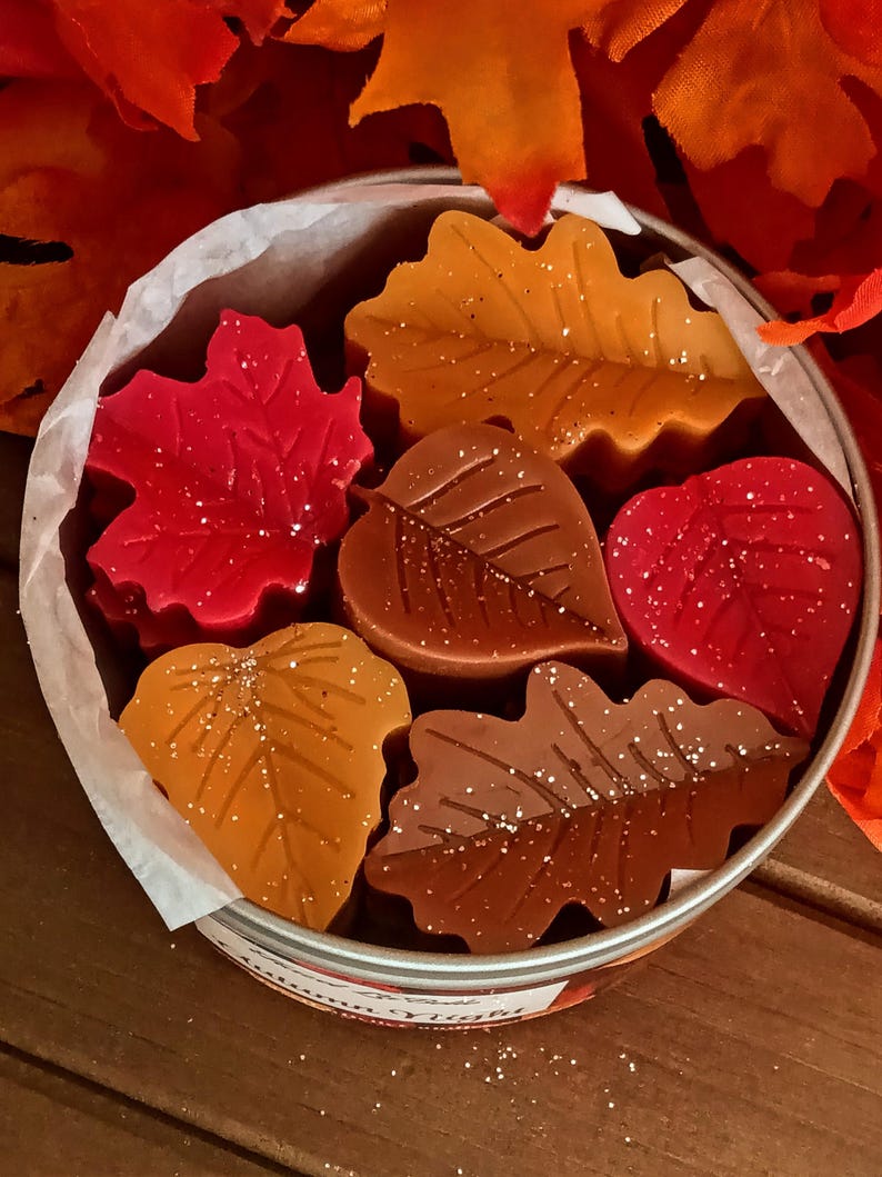 Autumn Night Wax Melts (7oz to 8oz) Fall Wax Melts Season, Handmade, 20 ...