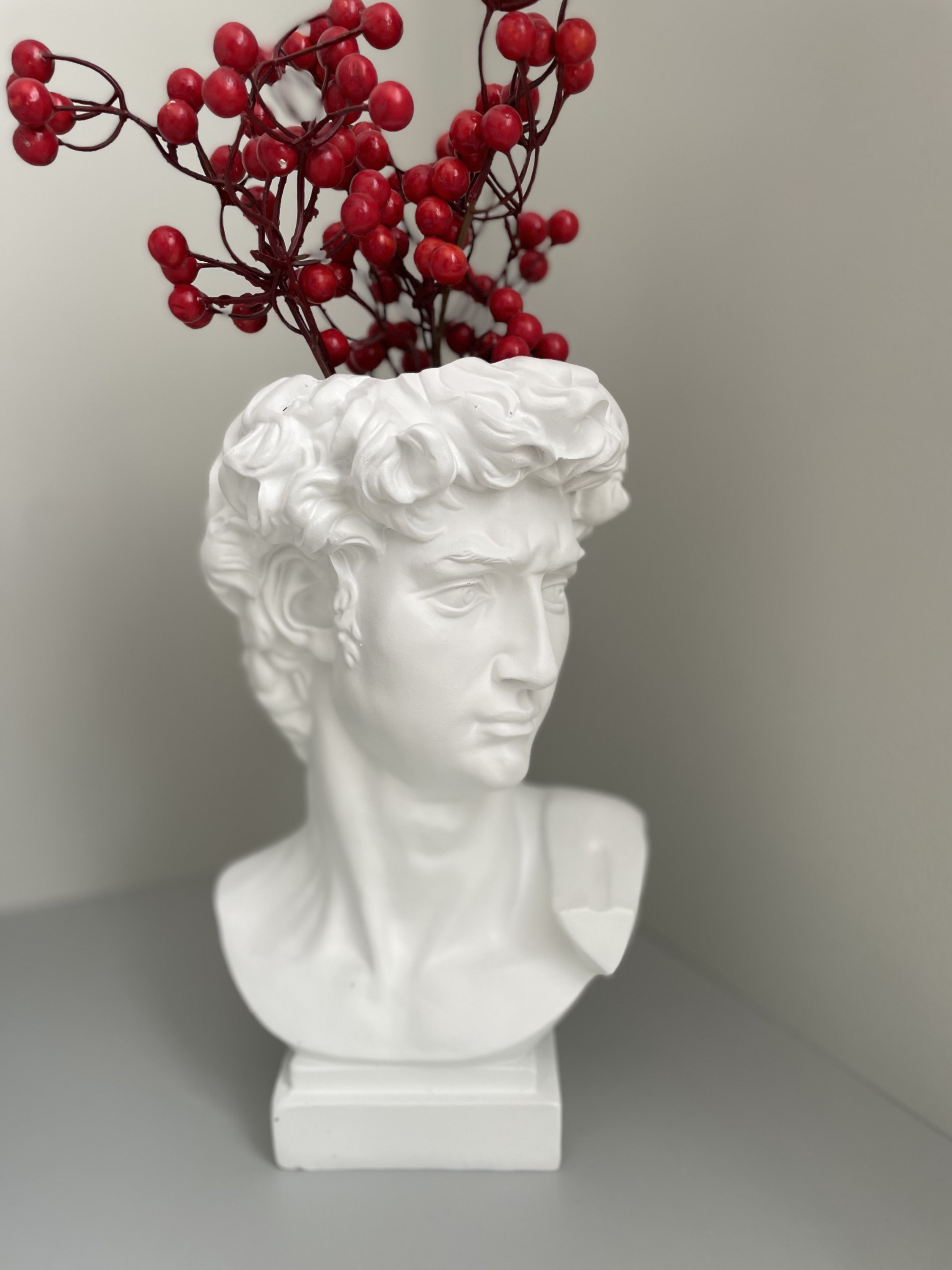 28cm 24cm White David Statue Vase - Etsy