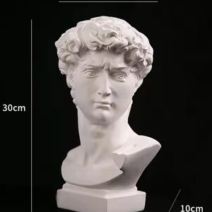 28cm, 24cm White David Statue Vase - Etsy