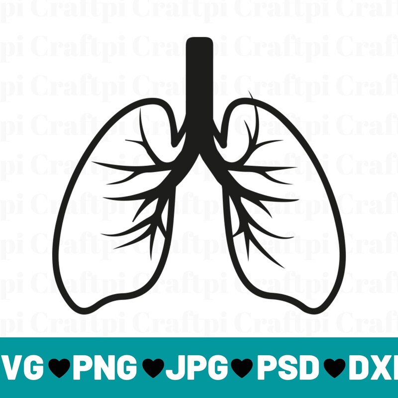 Lung Svg - Etsy