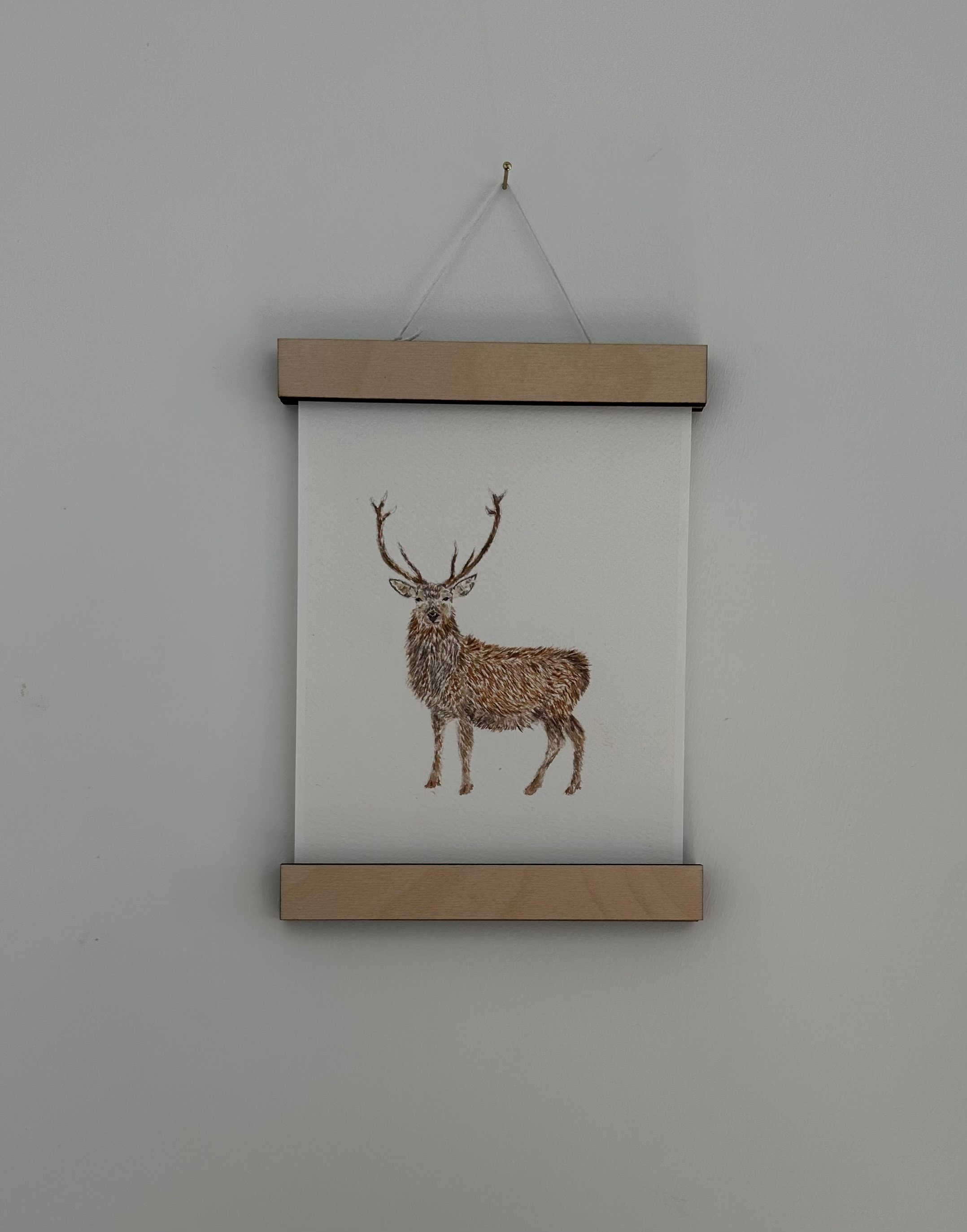 Red Deer Watercolour Art Print - Etsy