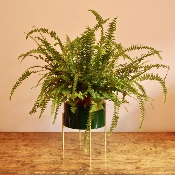 Emerald Green Pot - Etsy