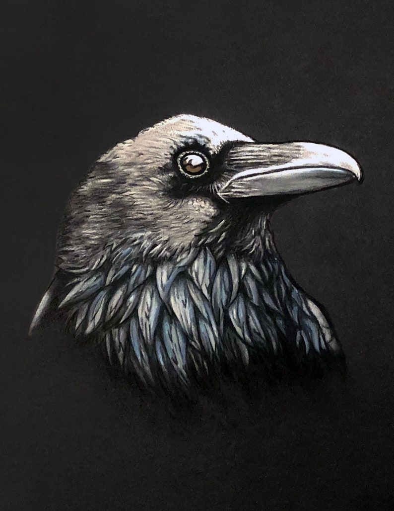 Der Rabe (the Raven) Original Soft Pastel Painting - Etsy Canada