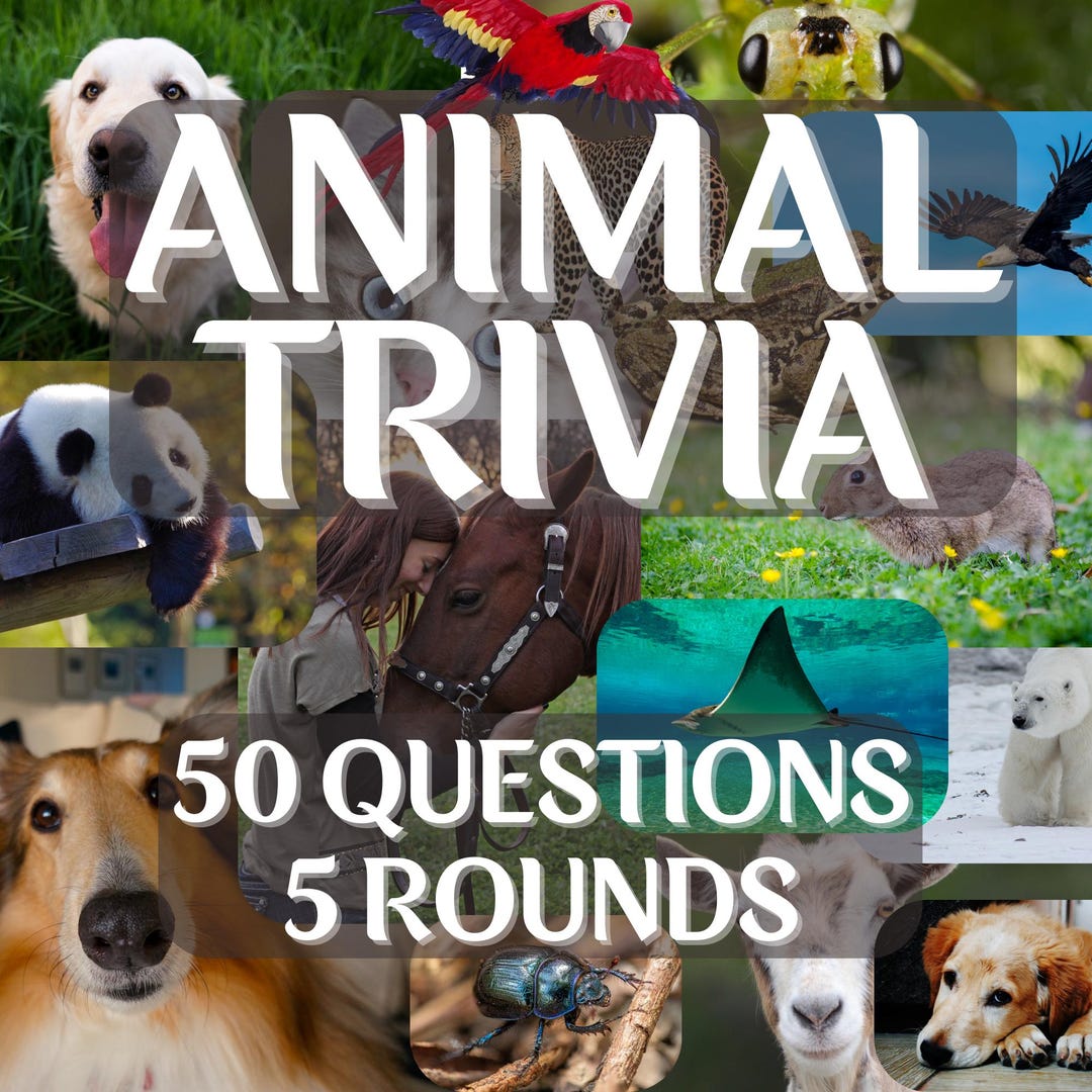 Animal Trivia Game | Adult Gatherings | Family, Friends, Work Events ...