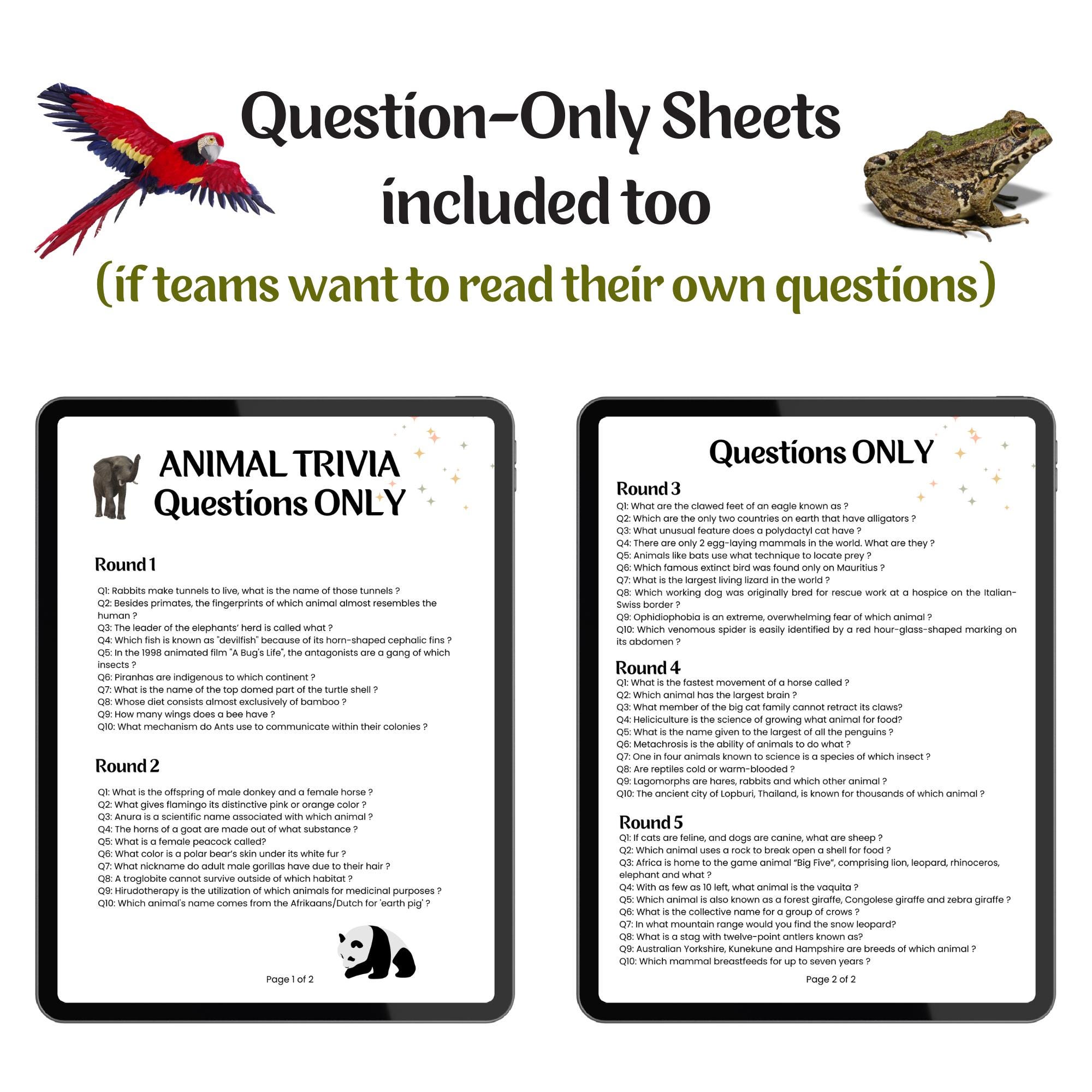 Animal Trivia Game | Adult Gatherings | Family, Friends, Work Events ...