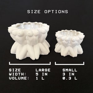 Sexy Planter | Female Body Plant Pot | 3D Printed Planter | Decor - Etsy