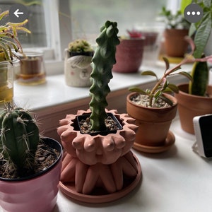 Sexy Planter | Female Body Plant Pot | 3D Printed Planter | Decor - Etsy