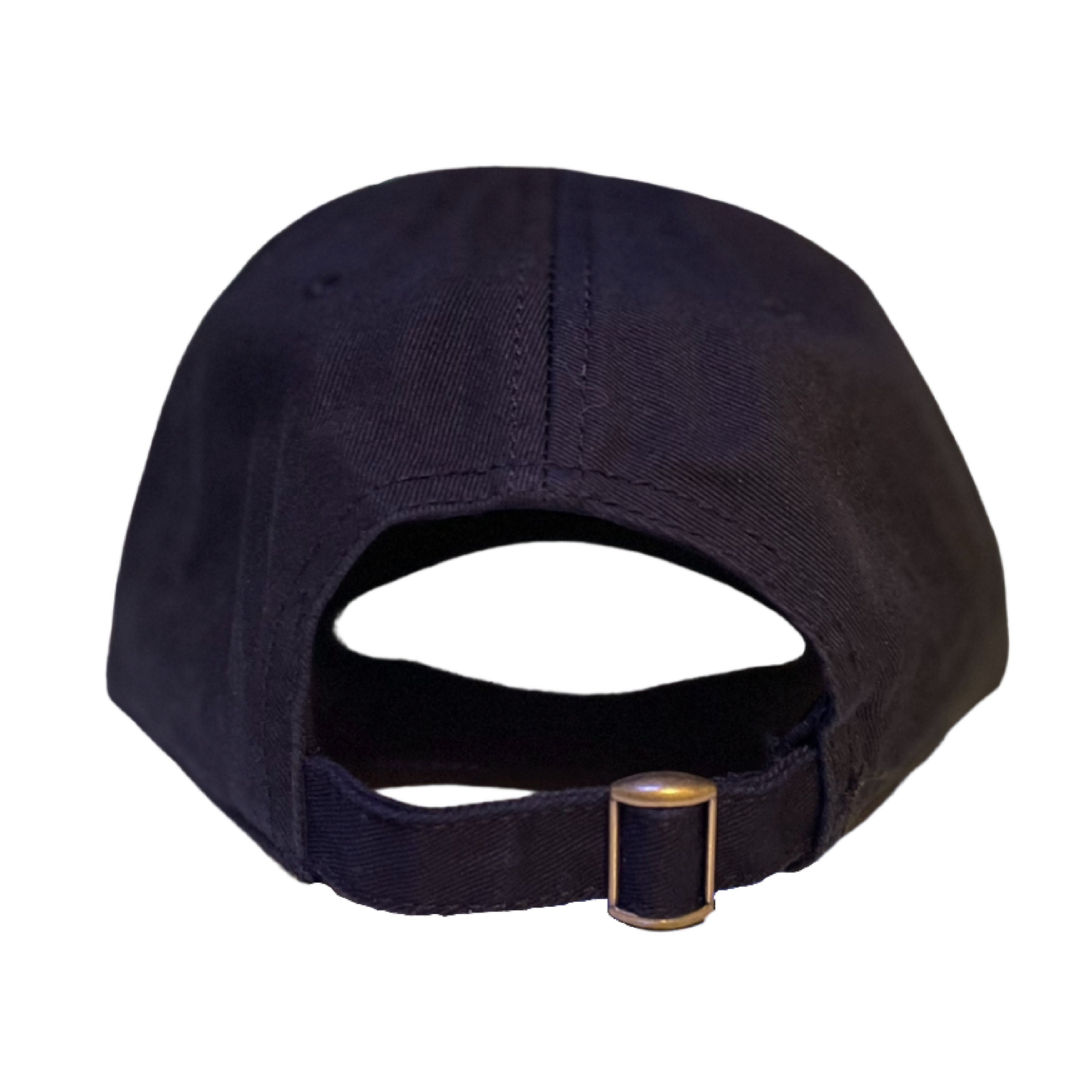 Plant Lover Plant Hat Pot Head Hat Funny Hat Dad Hat Black Hat Gift for ...