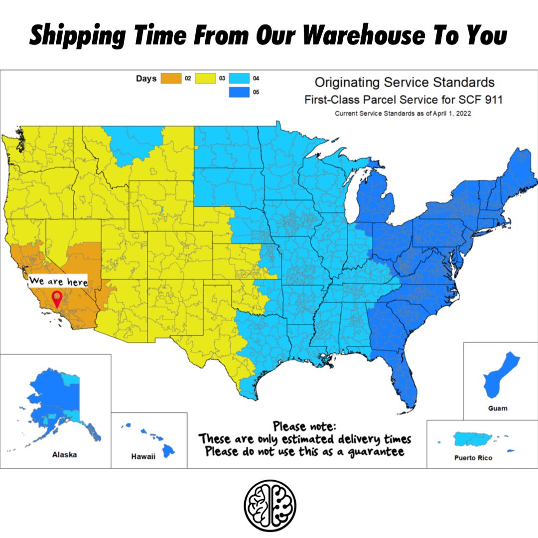 Plant Lover Plant Hat Pot Head Hat Funny Hat Dad Hat Black Hat Gift for ...