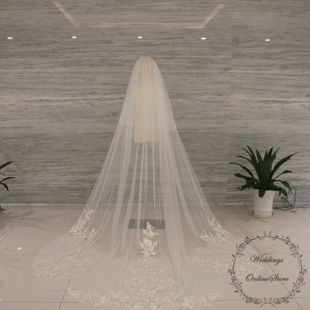 Champagne Lace Applique Bridal Veil, Ivory Tulle Wedding Veil ...