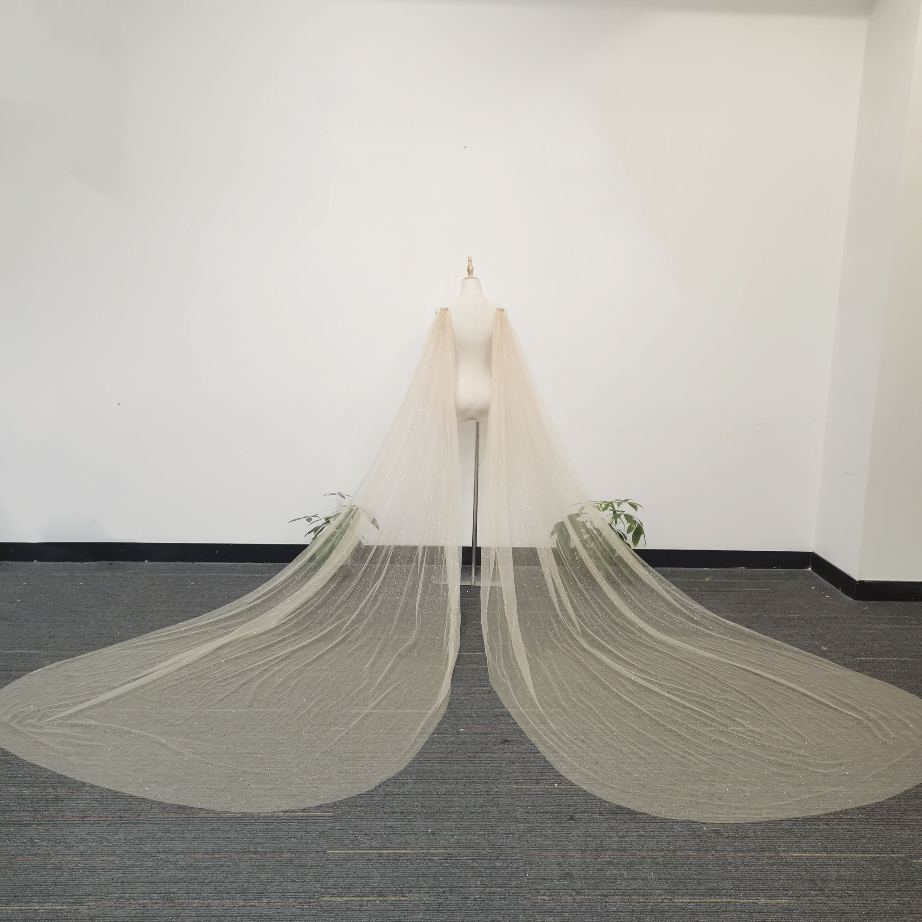 Sparkly Gold Sequin Shoulder Wing, Champagne Tulle Cape Veil ...