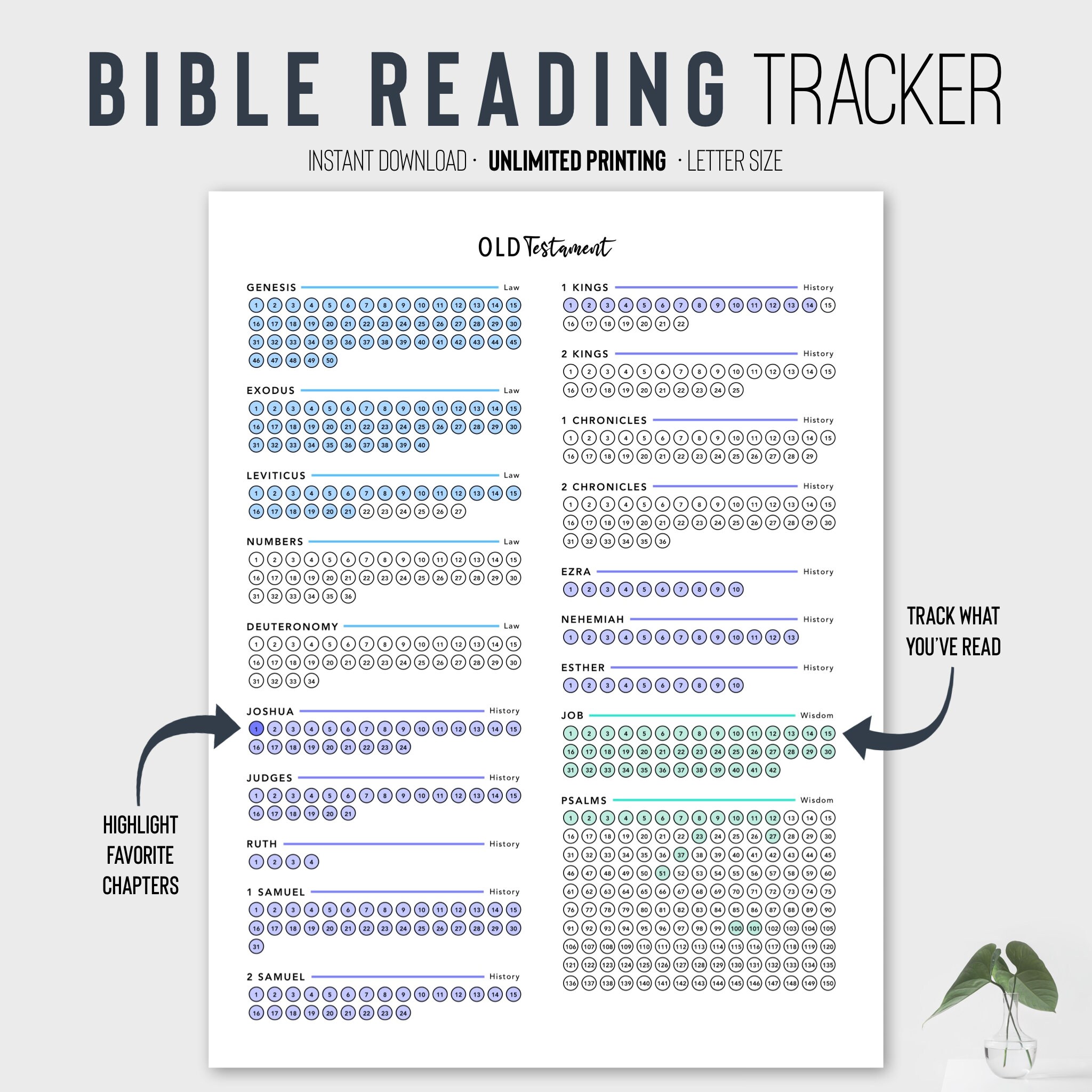 Bible Reading Tracker PRINTABLE, Goodnotes Bible Reading Tracker, Bible ...