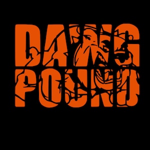 Cleveland Browns Dawg Pound Decal - Etsy