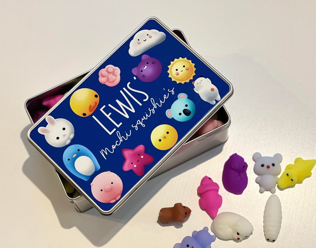 Personalised Mochi Squishy Storage Tin: Fidget Toy Box - Etsy