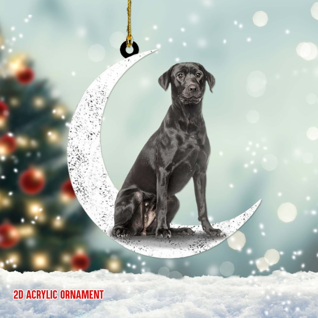 Black Labrador Dog Sit on the Moon Ornament, Black Labrador Ornament ...