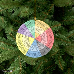 Feelings Wheel Keychain, Mental Health Accessory, Self Awareness Tool ...