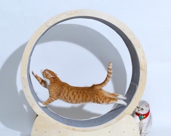 The Wall Cat's Wheel by Holindesign - Etsy